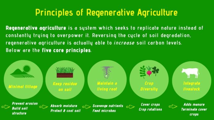 Sow Study Sustain Regenerative Horticulture – Ecolearn CIC