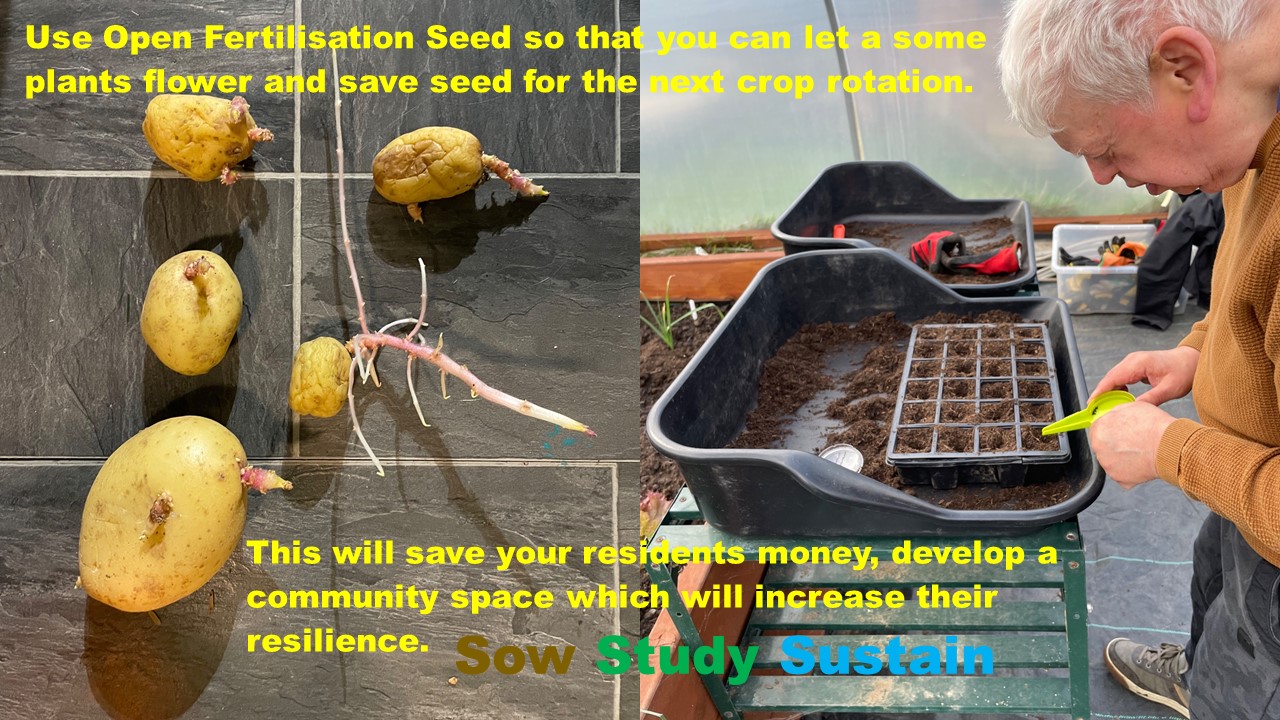 Sow Study Sustain for Parishes People Places – Ecolearn CIC